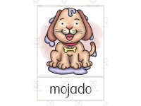 Spanish: Opposites Flash Cards by Teach Simple