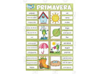 Spanish: Spring Clip Cards | Vocabulary Practice Activity by Teach Simple