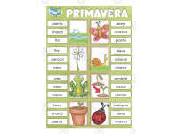 Spanish: Spring Clip Cards | Vocabulary Practice Activity by Teach Simple