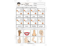 Spanish: Vocabulary Practice Sheet | Body Parts Cut and Paste by Teach ...