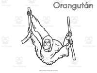 Spanish: Zoo Animals Coloring Pages by Teach Simple