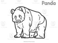Spanish: Zoo Animals Coloring Pages by Teach Simple
