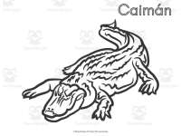 Spanish: Zoo Animals Coloring Pages by Teach Simple