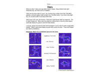 Stars Constellations Worksheet by Teach Simple