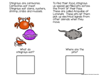 Stingray Adapted Book, Printable, Color and BW, Special Ed by Teach Simple