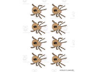 Swat the Phonics Spider Activity by Teach Simple