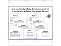 Synthesis, Decomposition, and Combustion – Lab Station Activity by ...