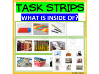 TASK STRIPS| WHAT IS INSIDE OF| VOCABULARY REASONING CARDS by Teach Simple