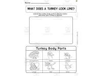 Thanksgiving Fun Writing Worksheets by Teach Simple