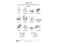 The Easy English Series Book 1: Easy Words by Teach Simple