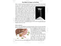 The Effects of Sugar on the Body Reading Comprehension Article by Teach ...