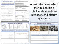 The Reformation World History Unit by Teach Simple