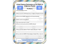 United Nations Declaration on the Rights of Indigenous Peoples ...