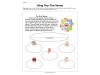 Using Your Five Senses Worksheet by Teach Simple