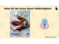 Velociraptor | Interactive Science Lesson | Micro-Learning Deck by ...