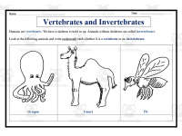 Vertebrates and Invertebrates Worksheet by Teach Simple