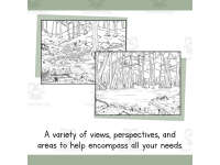 Wetland Habitat Coloring Pages | Line Art Templates | Biome Art Project ...