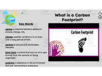 What Is A Carbon Footprint? | Interactive Science Lesson | Micro ...