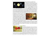 Why Leaves Change Color In The Fall Reading Comprehension Article by ...