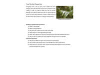 Why Leaves Change Color In The Fall Reading Comprehension Article by ...