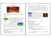 Why Leaves Change Color In The Fall - Science Reading Article – Grades ...