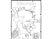 Wisconsin State Symbols Clip Art by Teach Simple