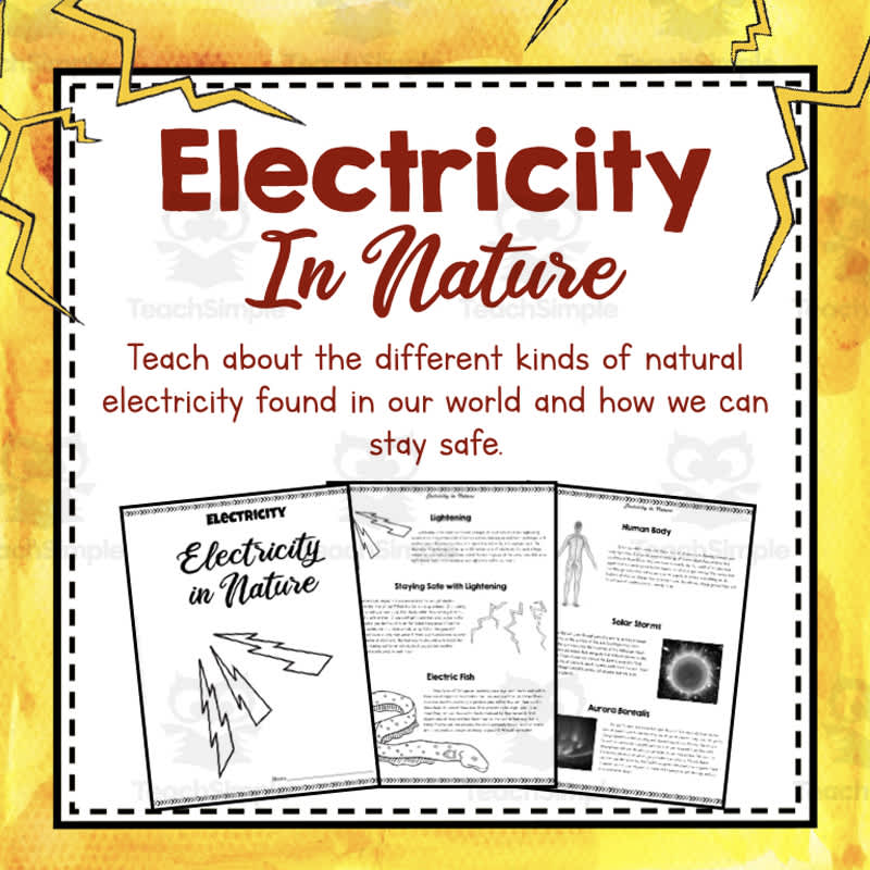 Biochemistry - Bell Ringers, Class Warm-Ups, and Exit Tickets by Teach ...