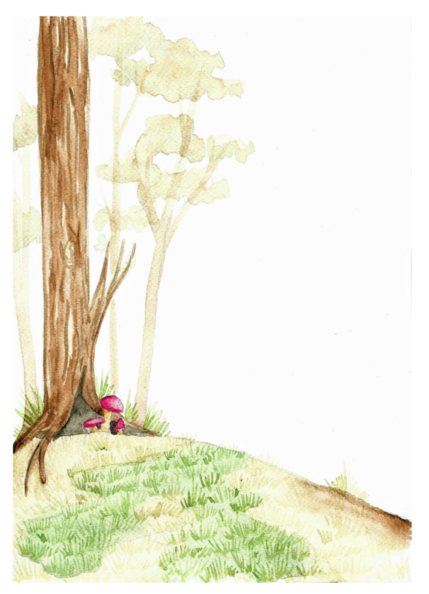 Galaxies & The Universe - Digital Lesson Plan Gr. 5-8 | PC Software by ...