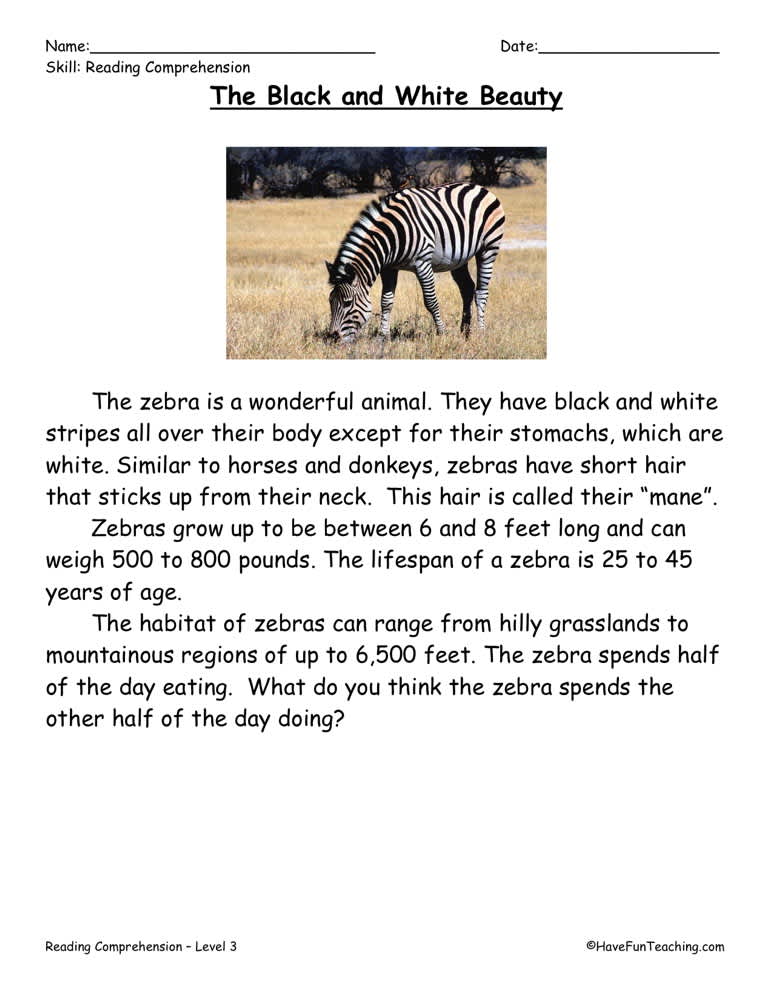 Countries of the World: South Africa Interactive Foldable Booklets ...