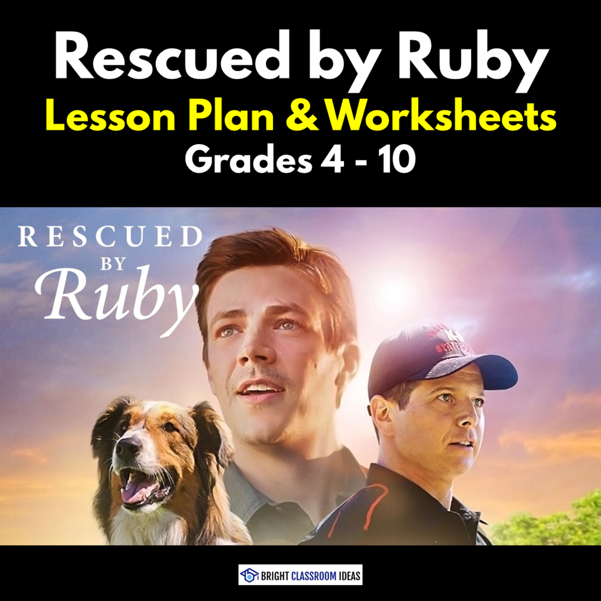 'Rescued by Ruby' Lesson Plan & Worksheets | Grades 4 - 10 by Teach Simple