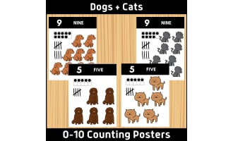 It's Raining Cats and Dogs Idioms Activity by Teach Simple