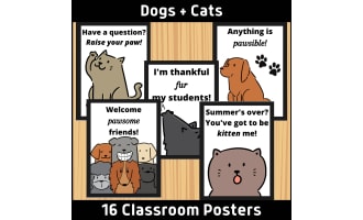It's Raining Cats and Dogs Idioms Activity by Teach Simple