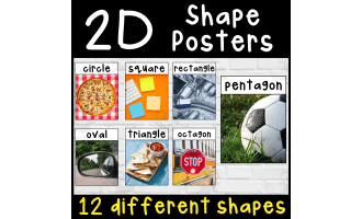 2D Shape Sort Worksheet by Teach Simple