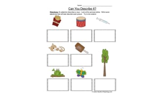 Describing Pictures with Adjectives Worksheet by Teach Simple