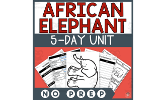 Zebra Unit Study (Endangered Animals Lesson Plan, Videos, Activities ...