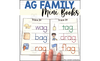AG Word Family Emergent Reader: In My Bag by Teach Simple