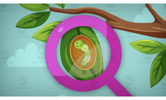 All About Invertebrates | Animated Animals Video Lesson by Teach Simple