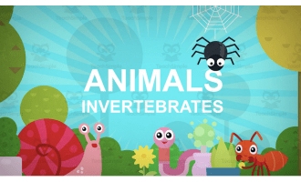 All About Insects | Animated Animals Video Lesson by Teach Simple