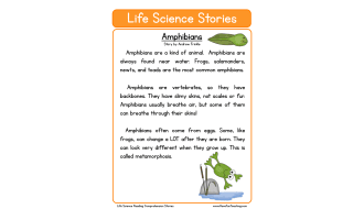 Amphibians ABC Order Worksheet by Teach Simple
