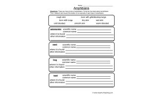 Amphibians Life Science Reading Comprehension Worksheet by Teach Simple