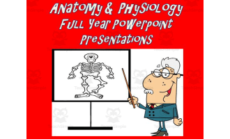 Anatomy and Physiology Labs ~ Full Year Bundle by Teach Simple