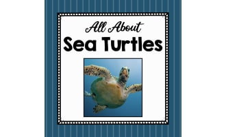 Sea Turtles Interactive Foldable Booklets – EBOOK by Teach Simple