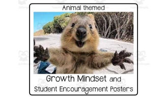 Growth Mindset Bulletin Board Set by Teach Simple