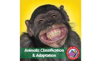 Classification & Adaptation: Warm-Blooded Animals vs. Cold-Blooded ...
