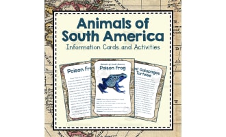 ANIMALS OF SOUTH AMERICA Gr. 4-6 by Teach Simple