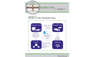 Aquaponics the Key to a Sustainable Future for Fish Farming - Google by ...