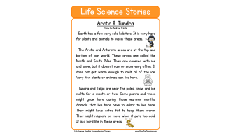 Arctic Research Worksheet by Teach Simple