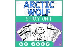 Arctic Fox Unit Study (Arctic Animals Lesson Plan, Videos, Activities ...