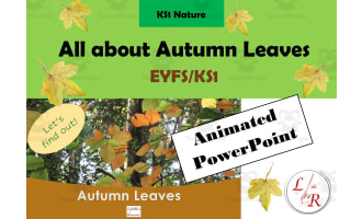 All about Autumn for EYFS and KS1 PowerPoint by Teach Simple