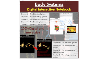 Body Systems Interactions Printable by Teach Simple